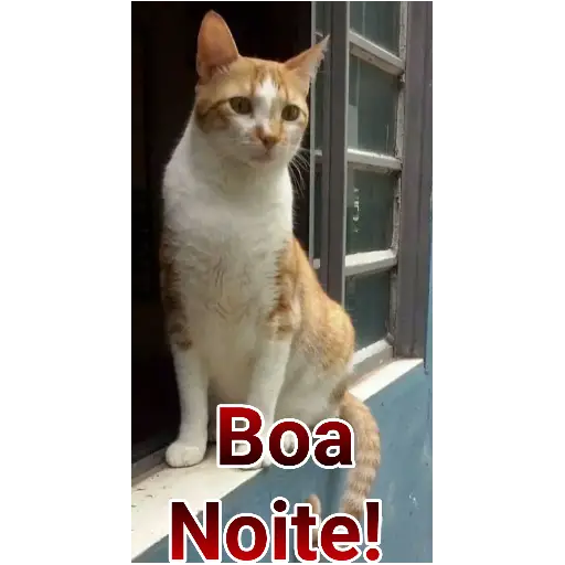 StickerFactory - noha